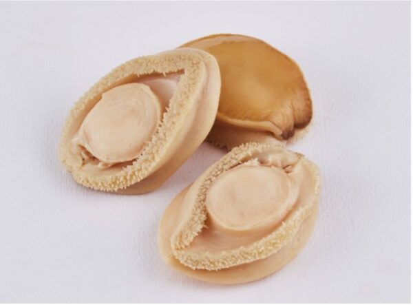 Fake vs Real South Africa Abalone - Uncle Luk South African Abalone